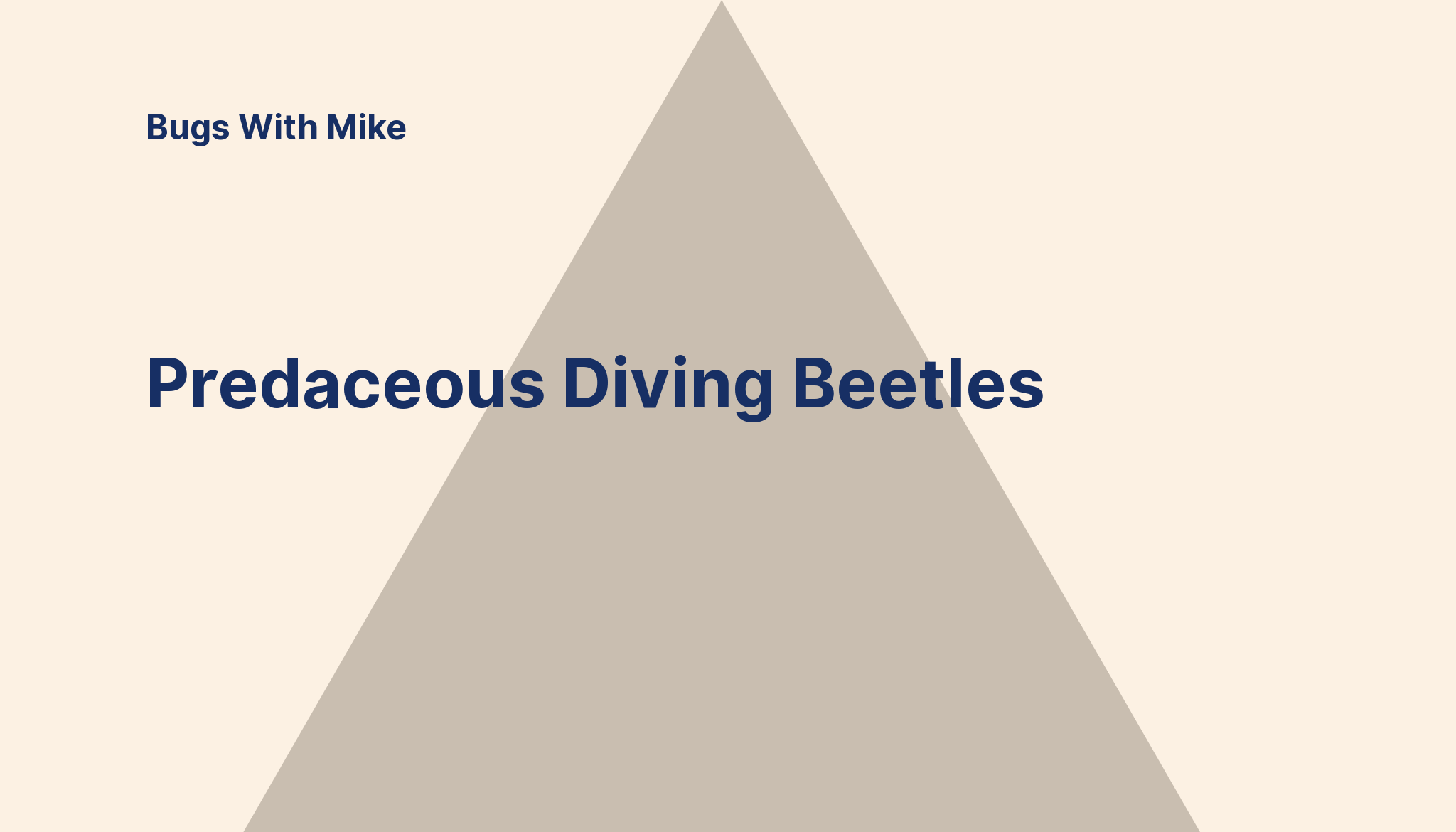 Predaceous Diving Beetles